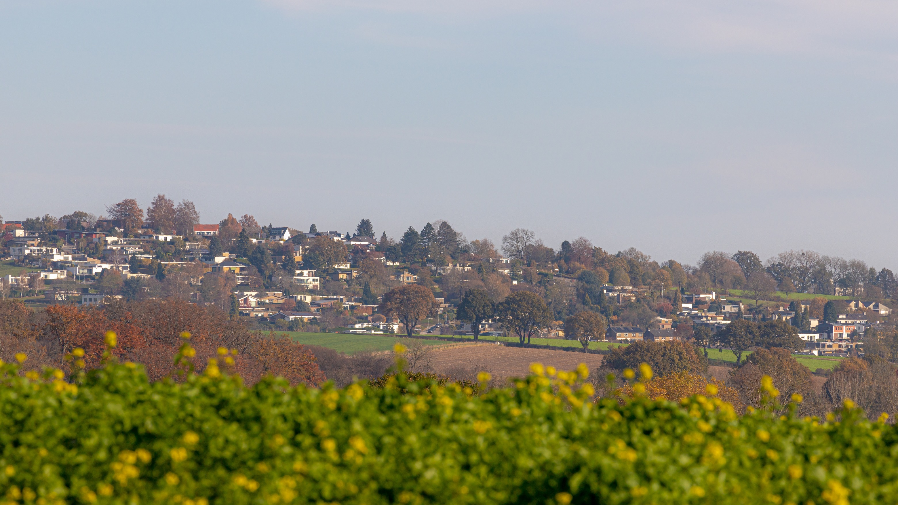 Benefietconcert Brass for Children in kapel Museum de Schat van ...